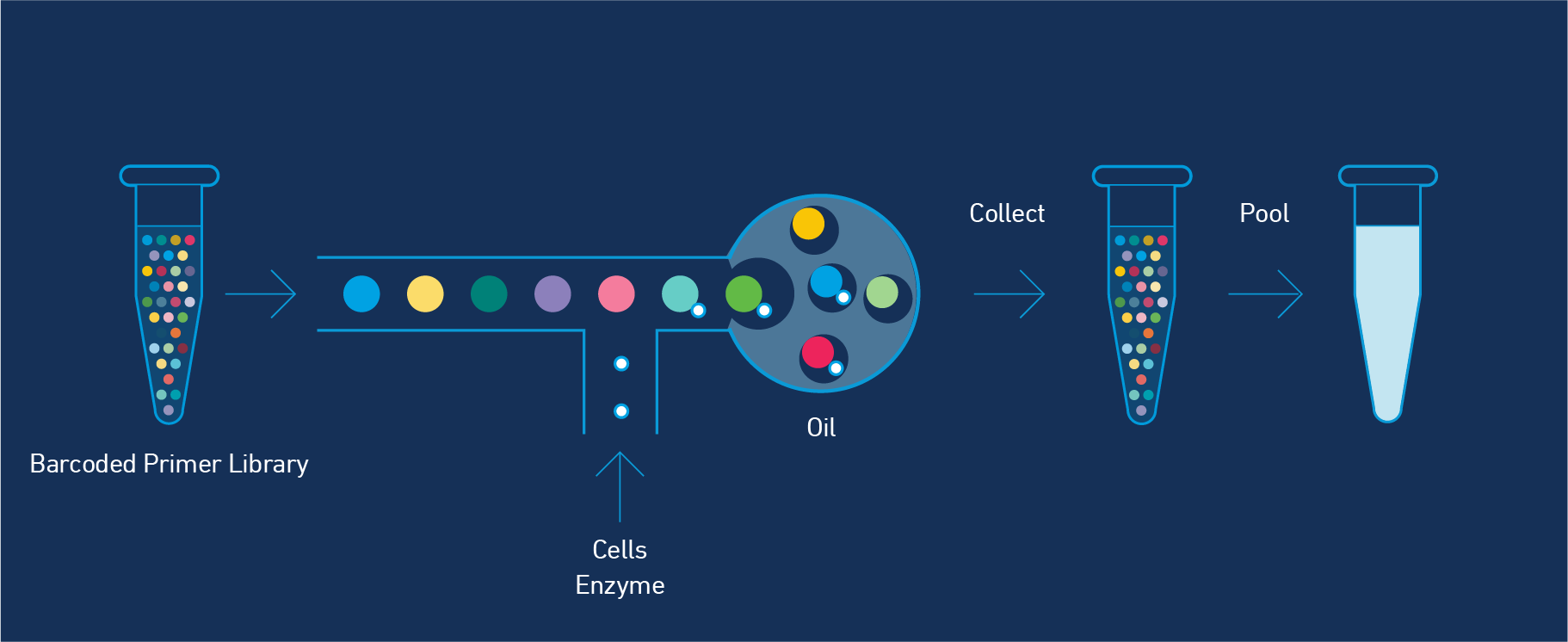 Solución Single Cell Epigenomics - Labworkflow