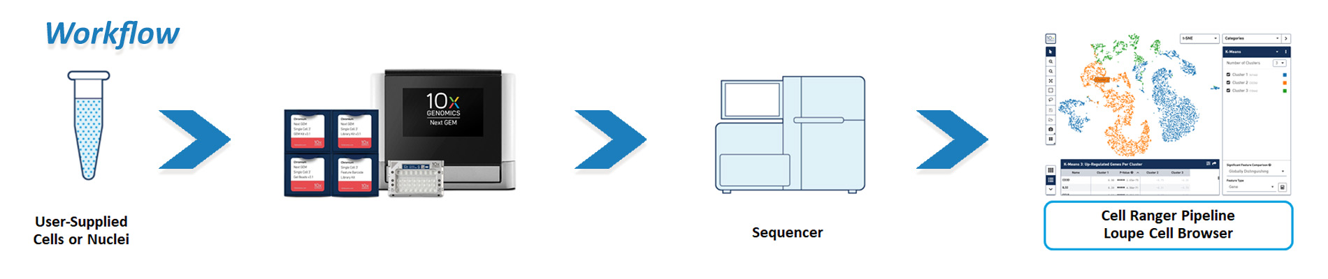 Servicio Single Cell RNA-Seq - Labworkflow